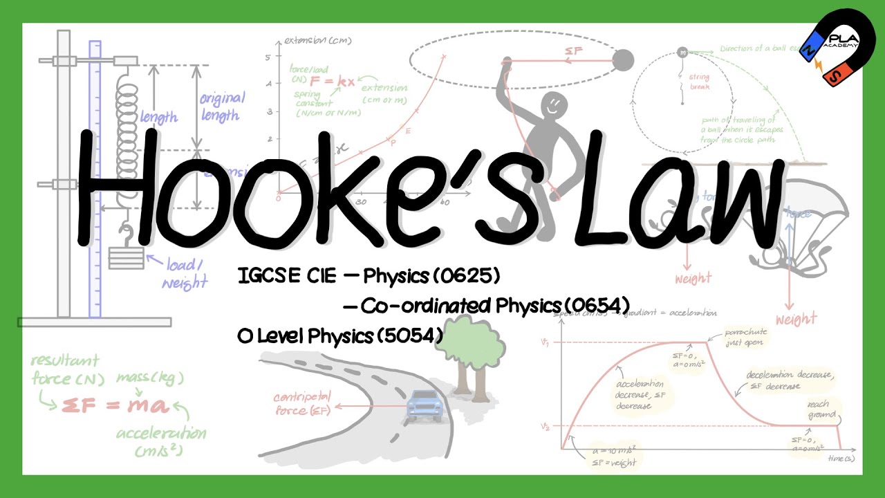 Hooke S Law For Igcse Gcse Gce O Level Physics Youtube