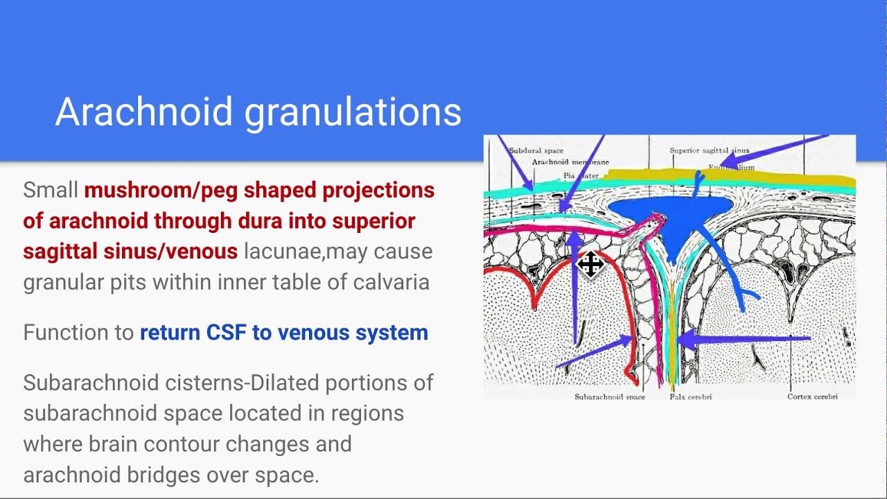 Granular Pits