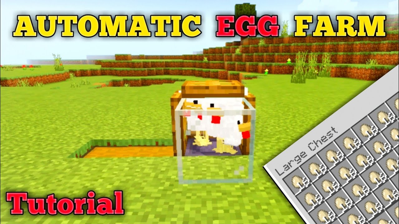 How To Make Simple Automatic Egg Farm In Minecraft Tutorial Youtube
