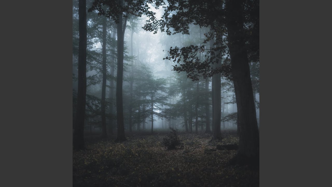 Wisdom Youtube Music