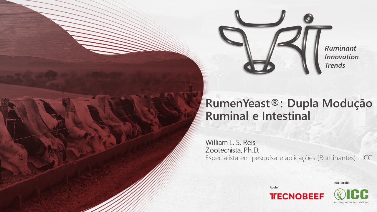 Rit 2022 4 Rumenyeast Dupla Modulação Ruminal E Intestinal Dr