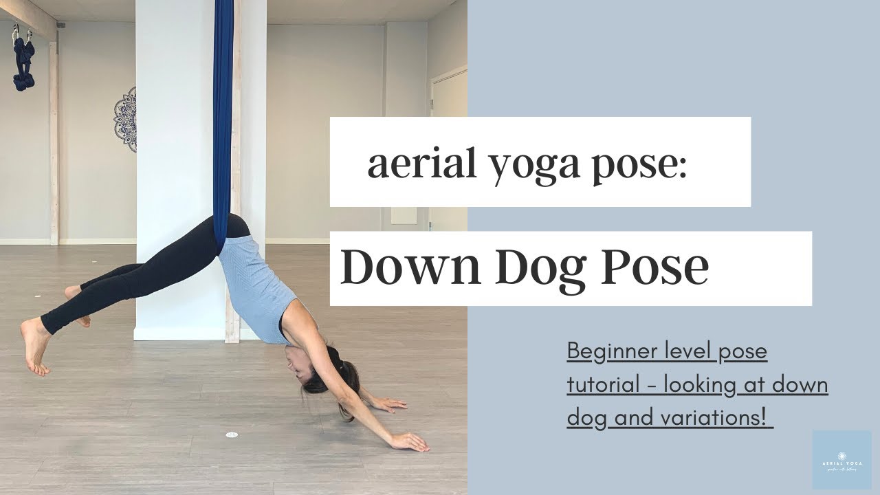 Down Dog Aerial Yoga Pose Tutorial Youtube