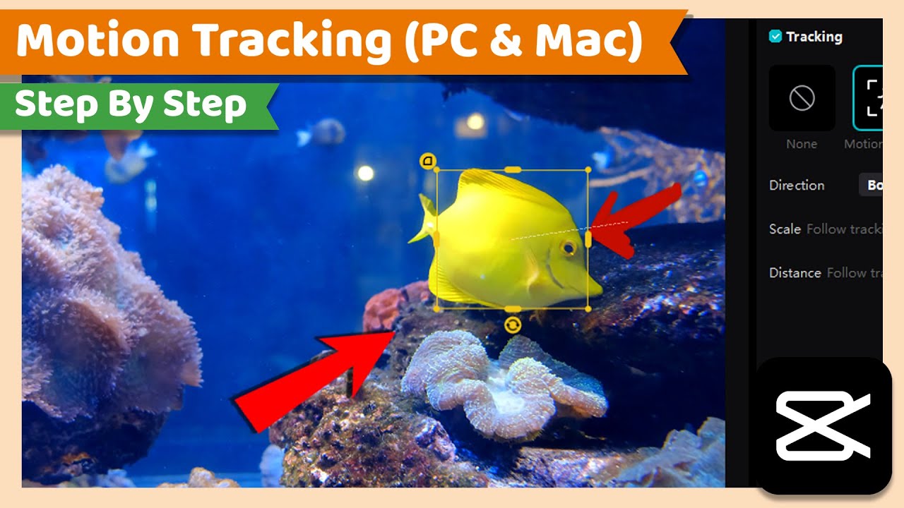 Motion Tracking Capcut Pc Tutorial Youtube