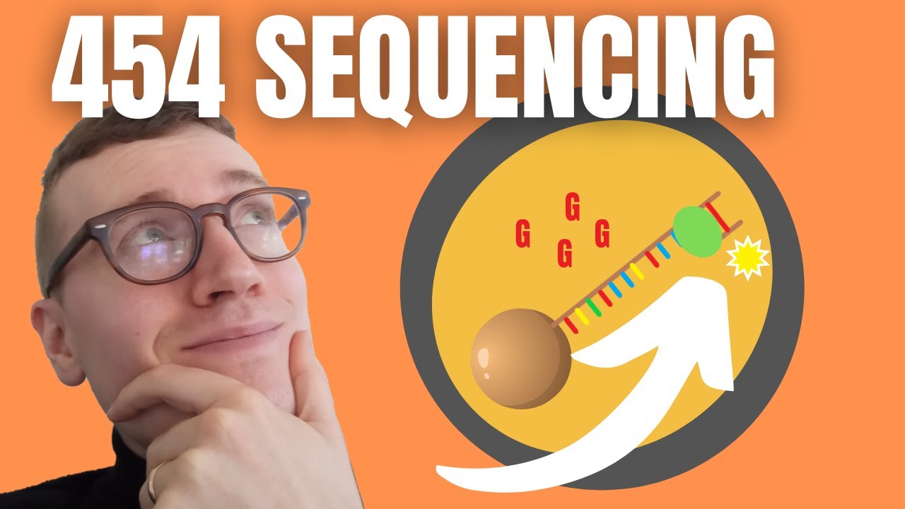 Pyrosequencing Explained Youtube
