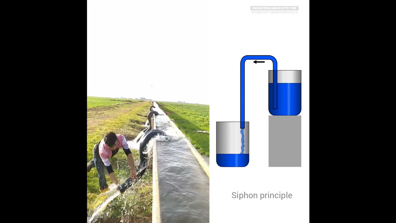 How To Properly Siphon At Willy Booth Blog