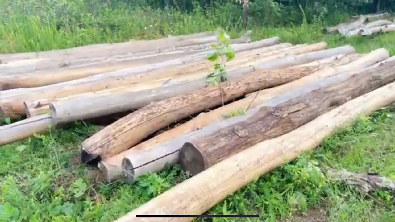 Cabin Build Part 1 Youtube
