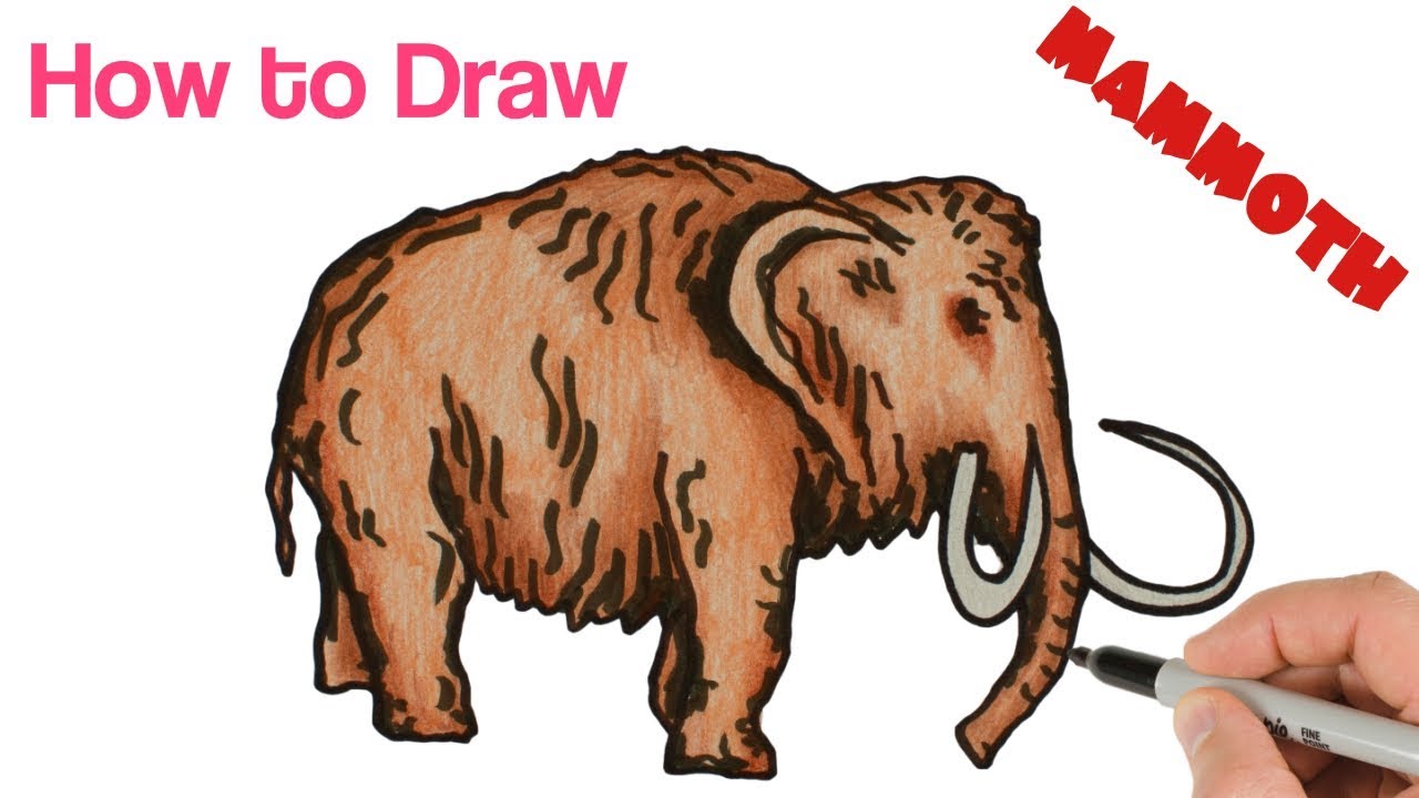 Easy Woolly Mammoth Drawing Bl
