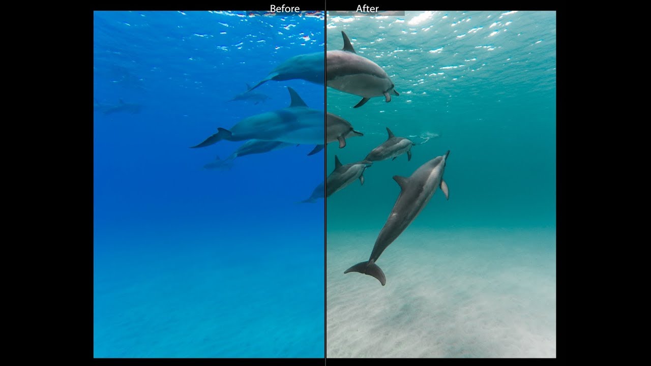 How To Edit Underwater Photos Youtube