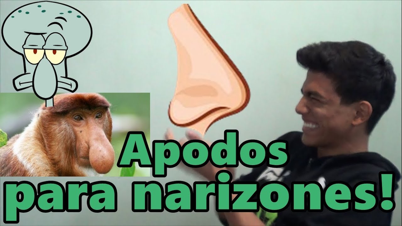 Apodos Para Narizones Youtube