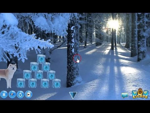 Wow Alaskan Winter Forest Escape Walkthrough Wowescape Youtube