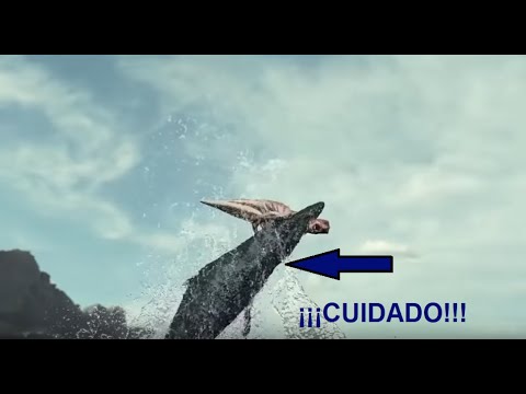 Análisis A Los Tylosaurus De Speckles El Tarbosaurus 3d Youtube