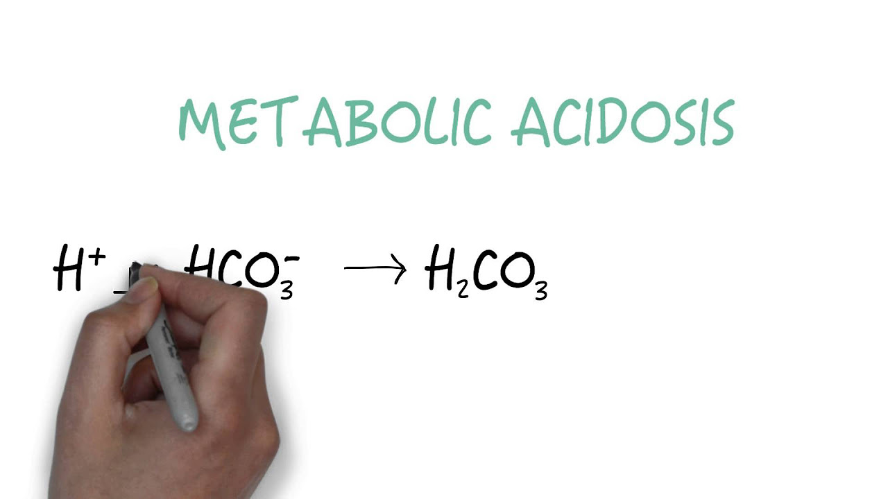 Carbonic Acid Buffer Vital System You Must Understand Transtutor Blog