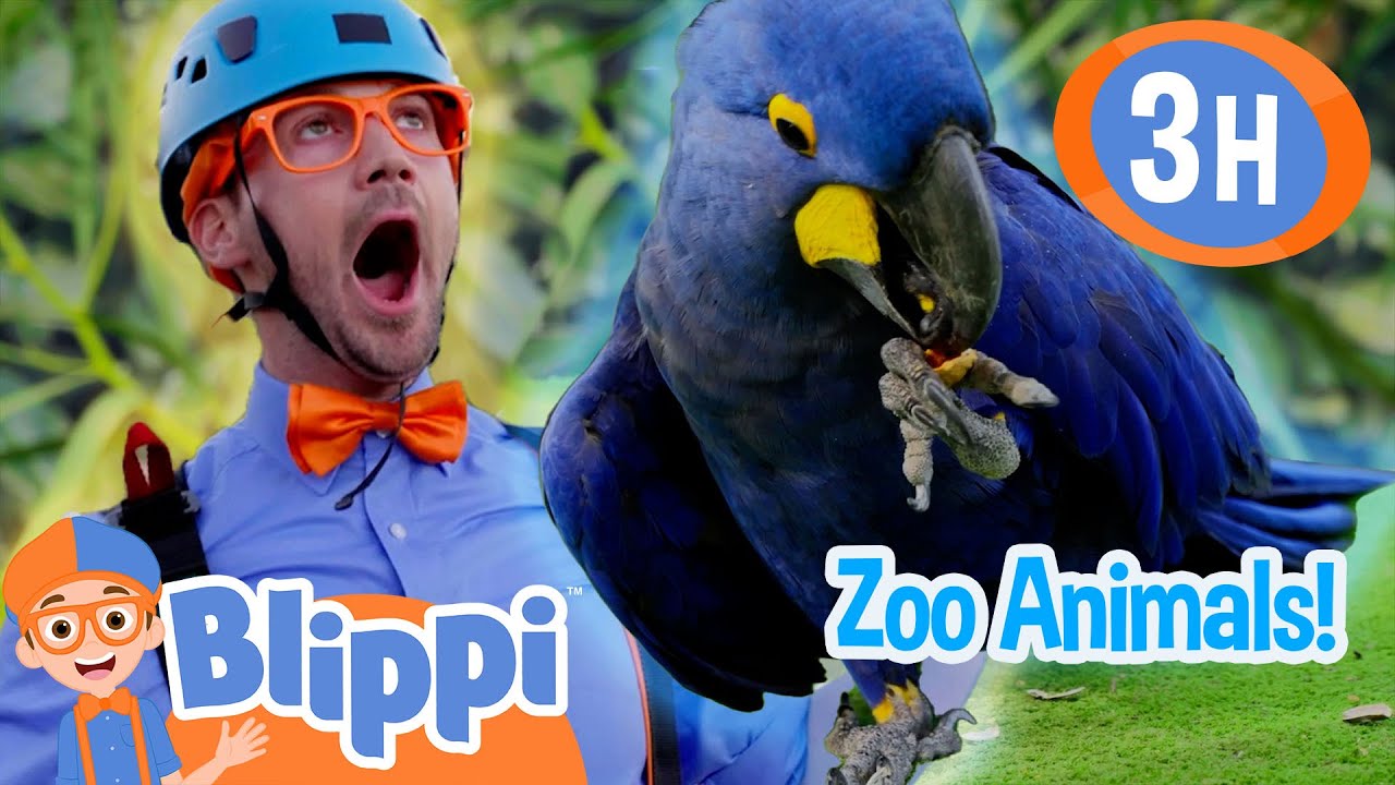 Animals Pets And Zoo Trip Blippi And Meekah Best Friend Adventures