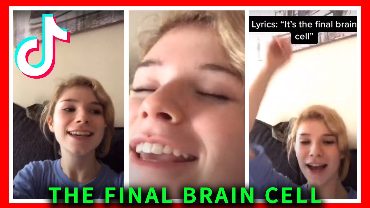 The Final Brain Cell Song Trending Tik Tok Compilations New Best