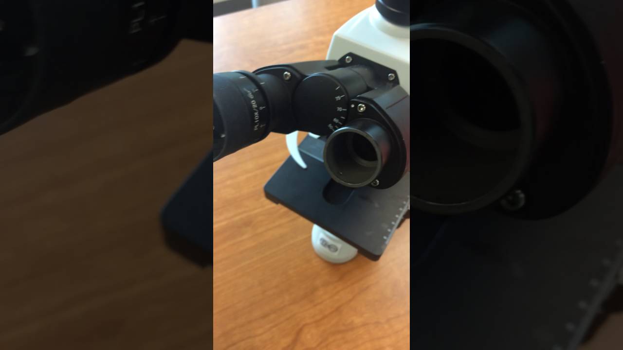 Inserting Microscope Camera Into Eyetube Youtube