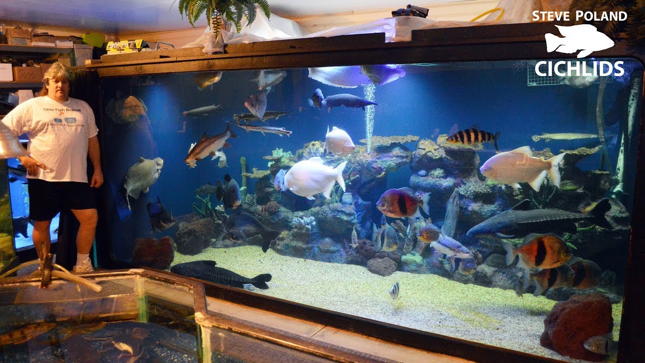 Riesiges Aquarium