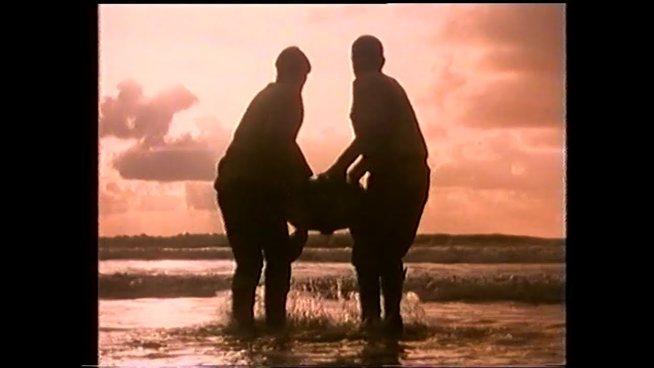 Turtle Diary 1985 Youtube