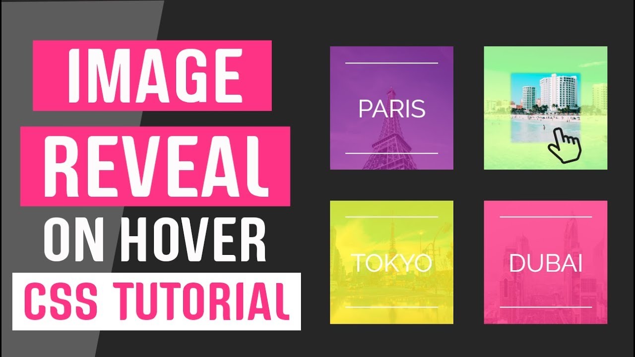 Image Reveal On Hover Css Css Image Effects Css Tutorials Youtube