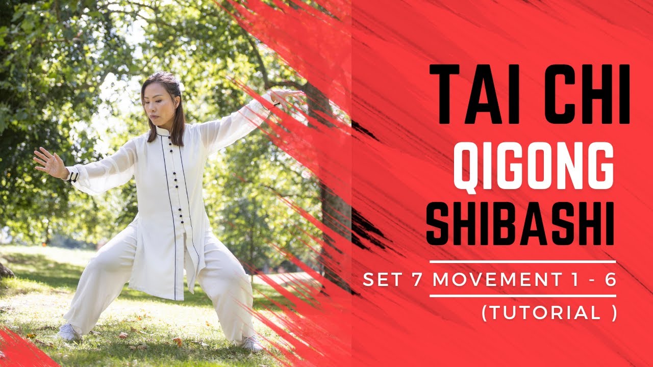 Tai Chi Qigong Shibashi Set 7 Tutorial Movements 1 6 Mirrored