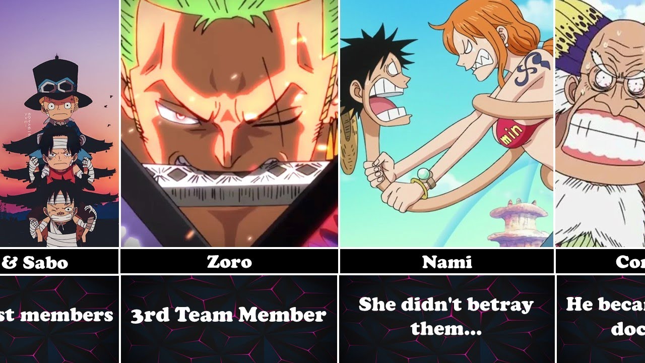 What If Everyone Luffy Asked To Join His Crew In One Piece Youtube