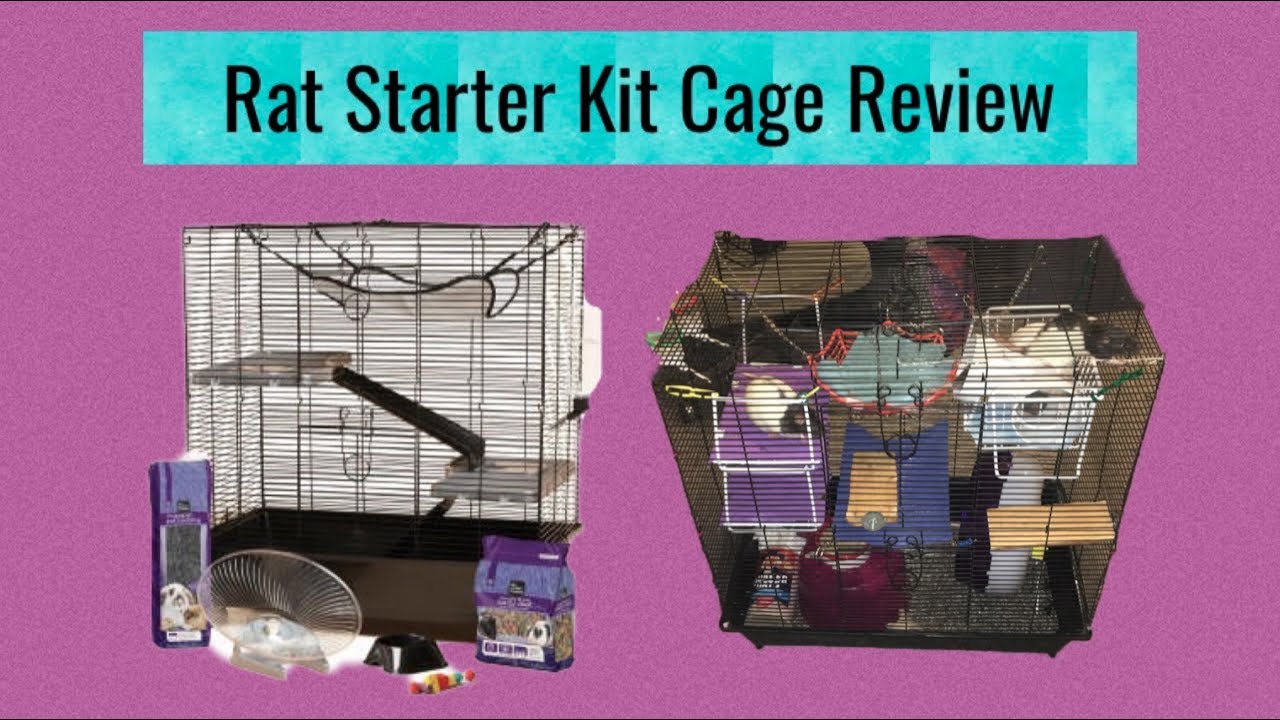 Rat Starter Kit Cage Review Youtube