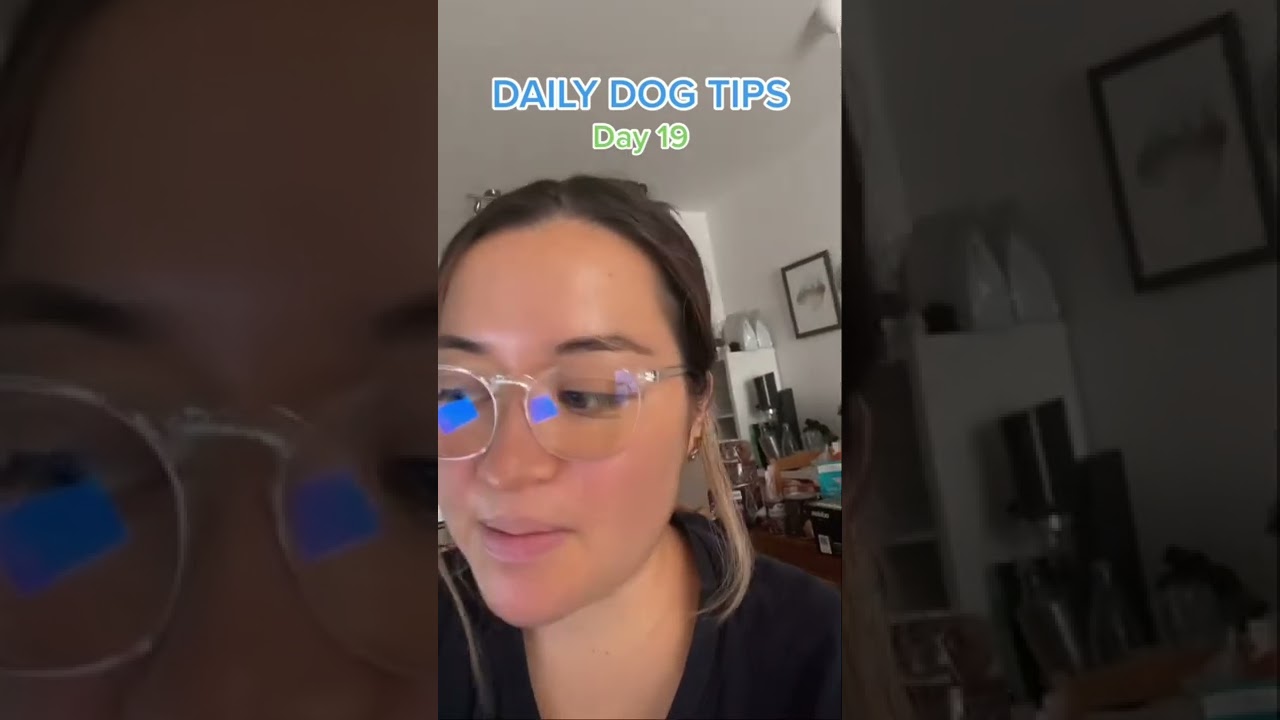 What S The Strongest Mob In Minecraft Housepetscare