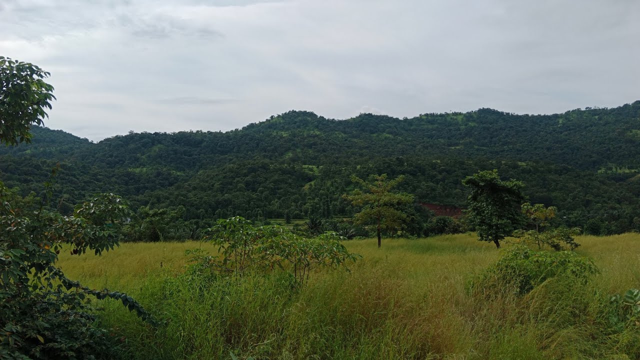 Pahari Ilaka Youtube