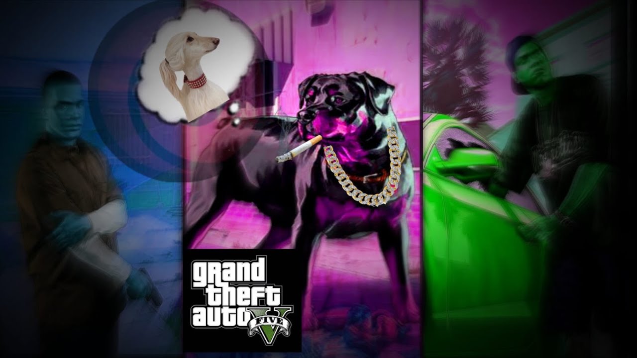 Gta V Chop Helping Franklin In The Mission Youtube