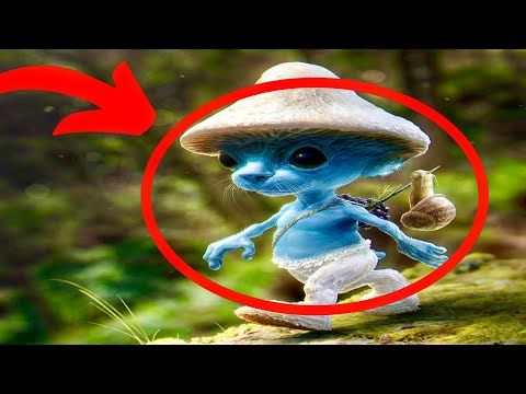 We Live We Love We Lie Smurf Cat Know Your Meme