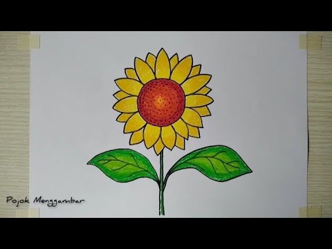 Cara Menggambar Bunga Matahari Mudah How To Draw Sunflower Youtube