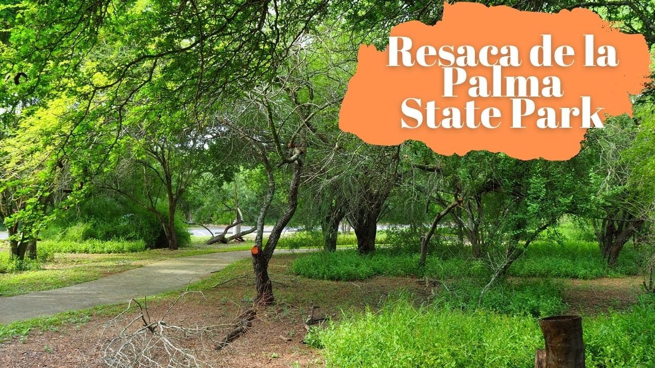 Resaca De La Palma State Park Texas State Park 35 89 Youtube