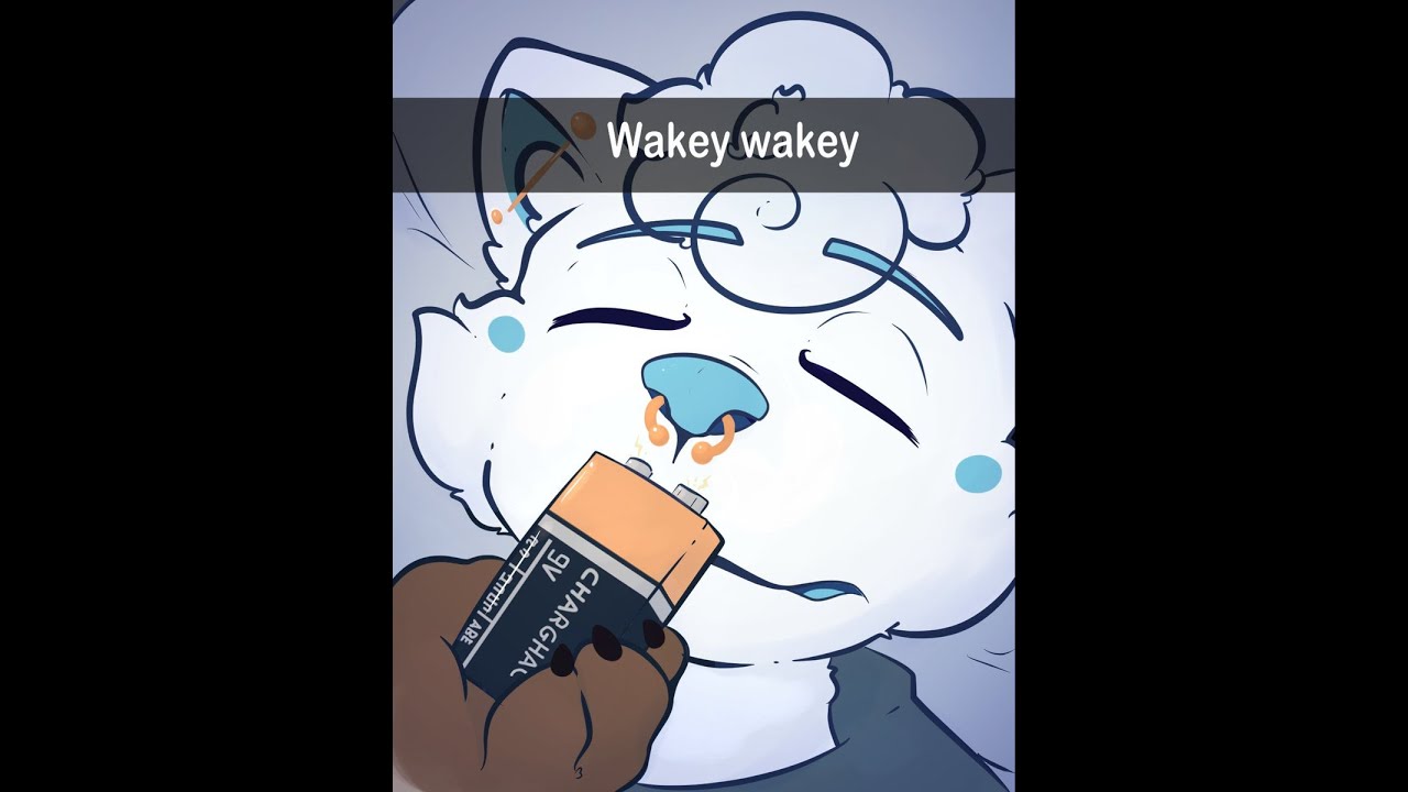 Furry Memes I Find Intriguing Youtube
