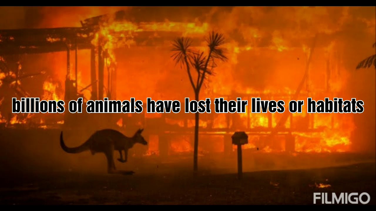 Save Australia Youtube