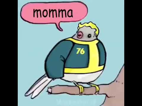 Fallout 76 Meme Youtube