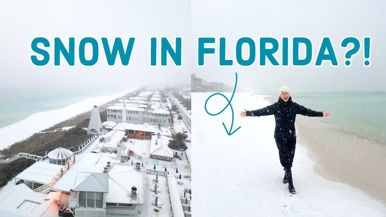 Everglades Snow Florida Snow 2025 Florida Snow Theluckyfew