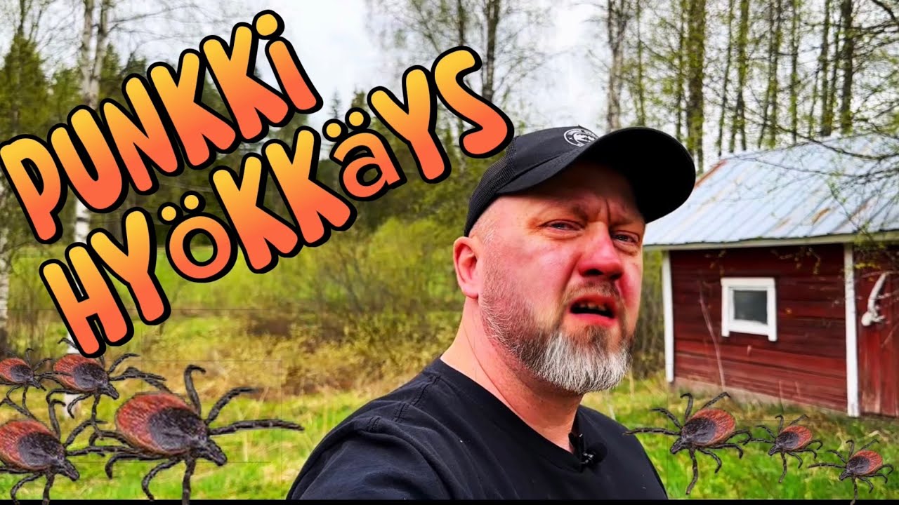 Autiotalo Punkki Hyökkäys Youtube