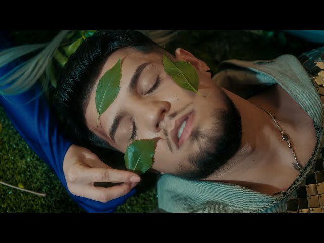 Babasha - S-a oprit toata planeta