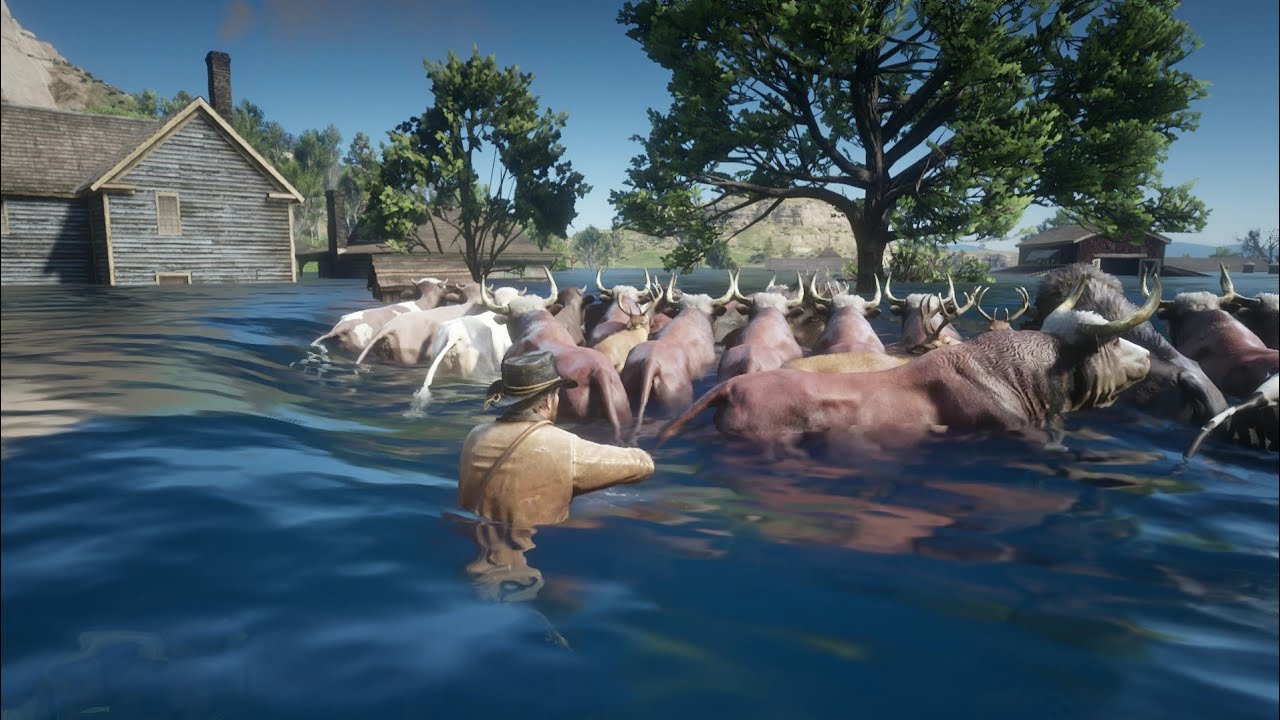 Saving Animals From A Big Flood Youtube