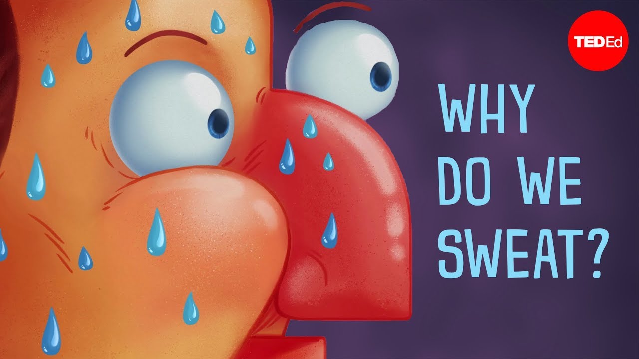 Why Do We Sweat John Murnan Youtube