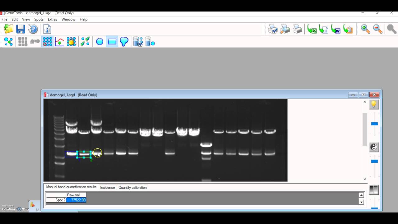 Genetools Manual Densitometry Youtube
