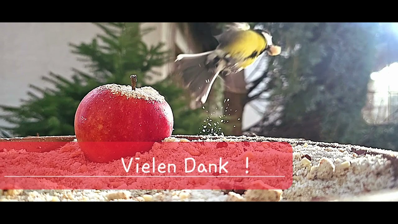 Vielen Dank Youtube