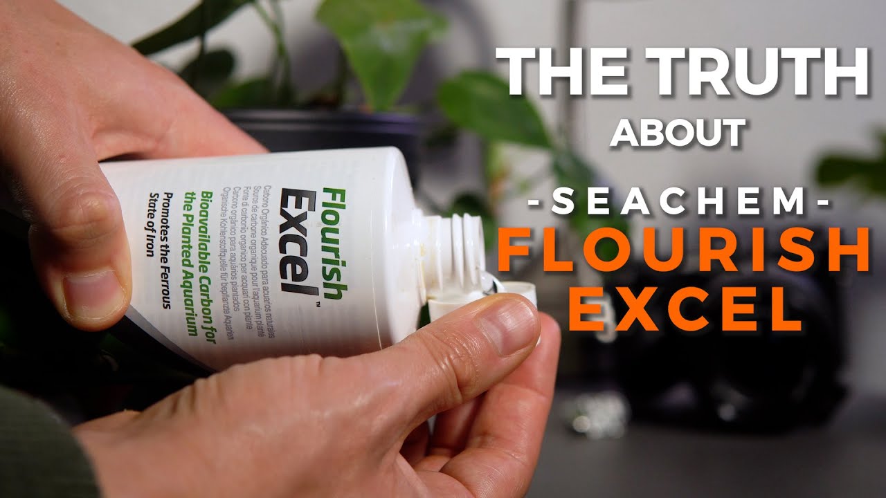 Flourish Excel The Truth Youtube