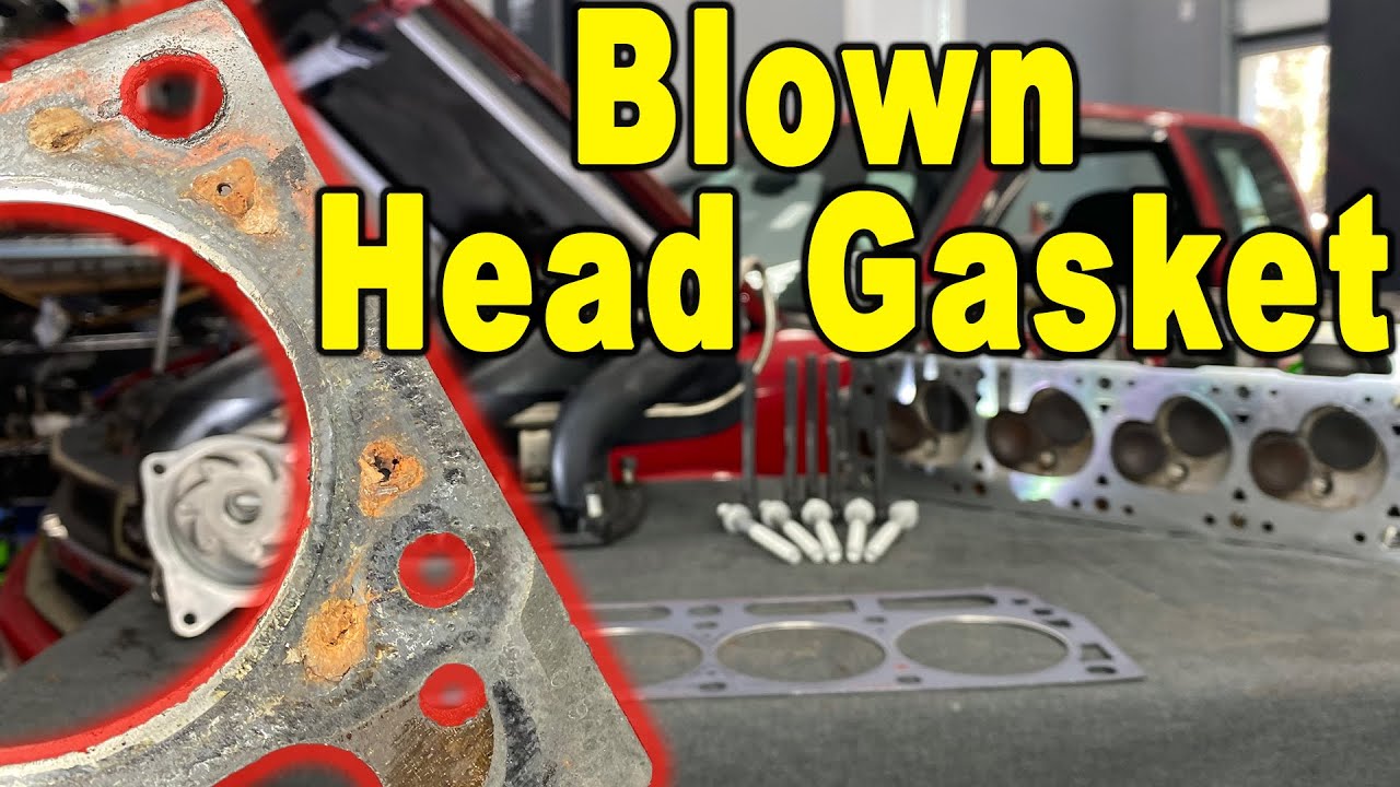 Change Cylinder Head Gasket Cheapest Shops Www Pinnaxis