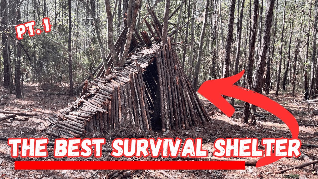 Building A Survival Shelter Youtube