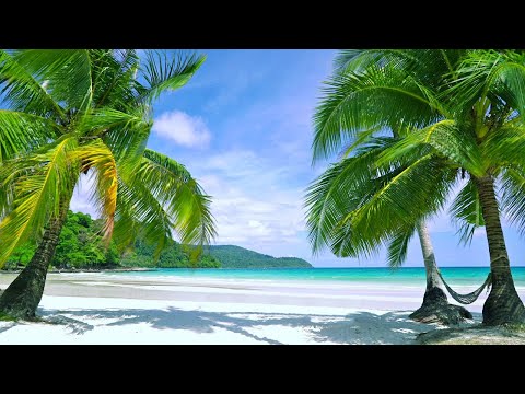 4k Uhd Tropical Beach White Noise For Relaxation Sleep Distant