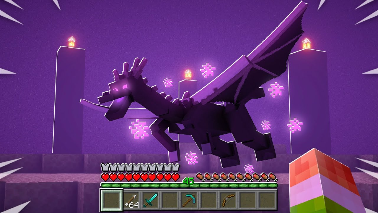 Minecraft In Real Life Ender Dragon