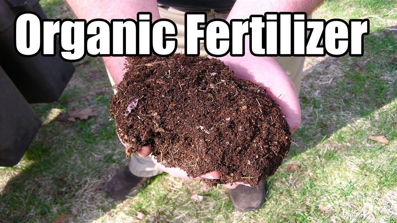How To Make Liquid Organic Fertilizer At Home Youtube