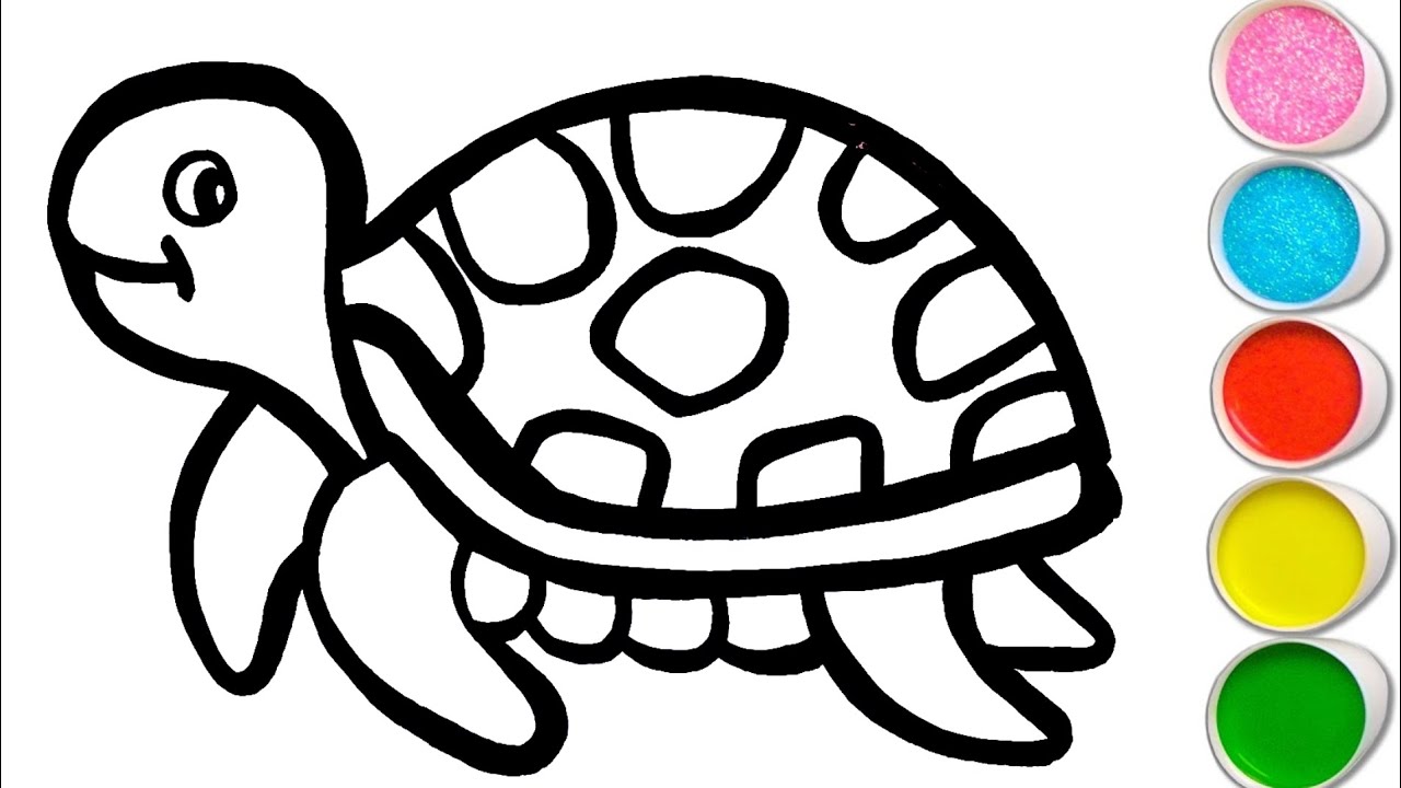 Turtle Drawing Colouring And Painting How To Draw Cute Turtle Youtube
