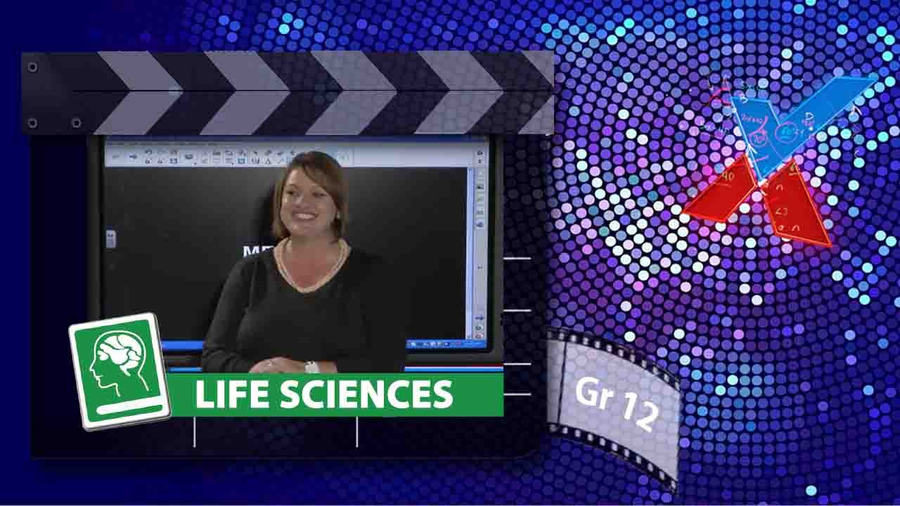 Meiosis Live Youtube