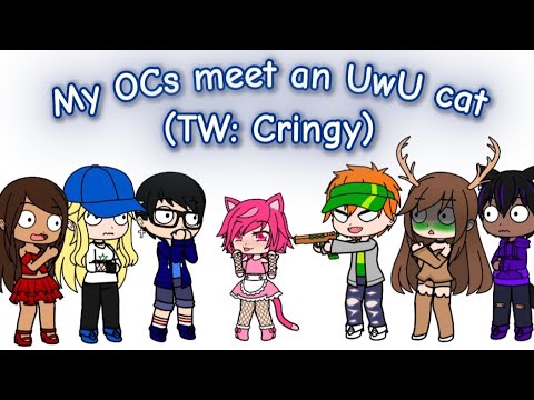 My Ocs Meet An Uwu Cat рџ ђрџ ђ Youtube